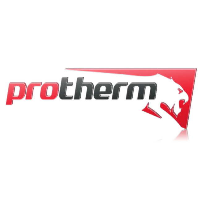 PROTHERM 40-50 CI Archives - Hanicks